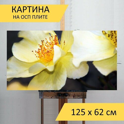 Картина на ОСП 125х62 см. "Цветок, природа, желтый" горизонтальная, для интерьера, с креплениями