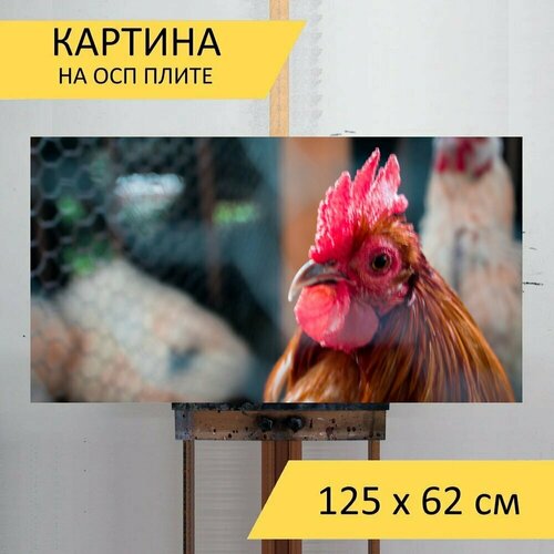 Картина на ОСП 125х62 см. "Галло, курица, птица" горизонтальная, для интерьера, с креплениями