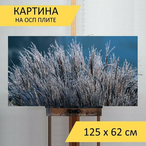 Картина на ОСП 125х62 см. "Трава, растения, мороз" горизонтальная, для интерьера, с креплениями