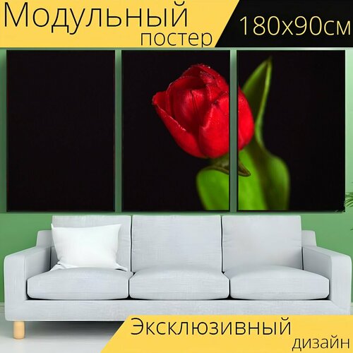 Модульный постер "Тюльпан, цветок, красный цветок" 180 x 90 см. для интерьера