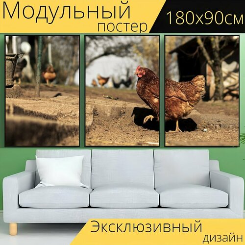 Модульный постер "Курица, петух, ферма" 180 x 90 см. для интерьера