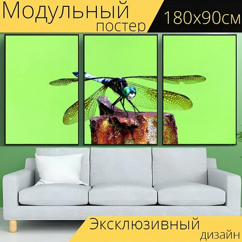 Модульный постер "Животное, насекомое, стрекоза" 180 x 90 см. для интерьера
