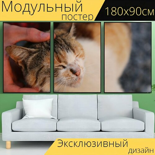 Модульный постер "Кошка, любовь, милый" 180 x 90 см. для интерьера