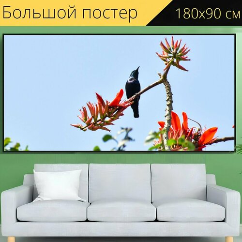 Большой постер "Солнечная птица, цветок, птица" 180 x 90 см. для интерьера