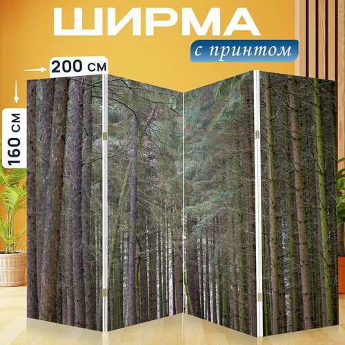 Ширма перегородка с принтом "Лес, деревья, путь" на холсте - 200x160 см. для зонирования, раскладная