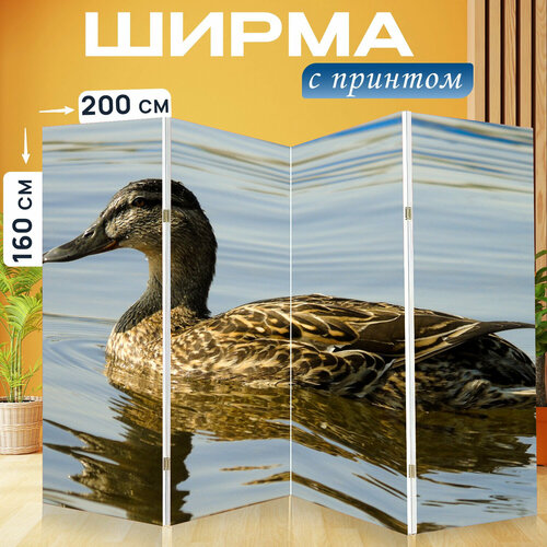 Ширма перегородка с принтом "Птица, река, утка" на холсте - 200x160 см. для зонирования, раскладная