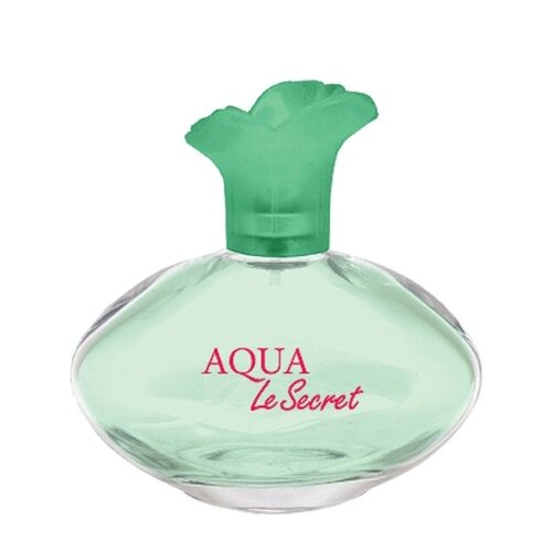 Today Parfum туалетная вода Aqua Le Secret, 100 мл, 282 г