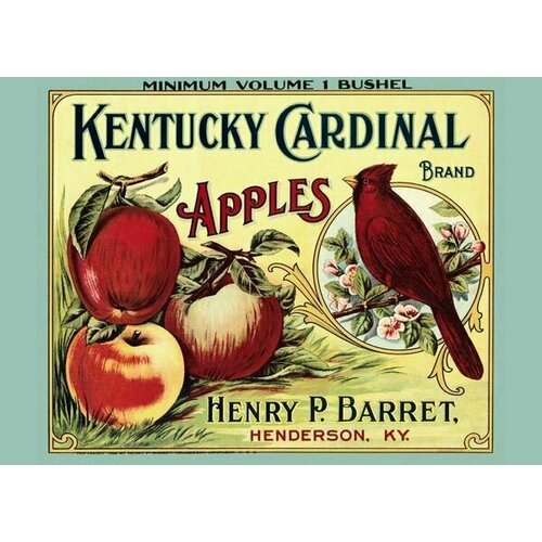 Плакат, постер на холсте иностранный Kentucky Cardinal brand Apples. Размер 21 х 30 см