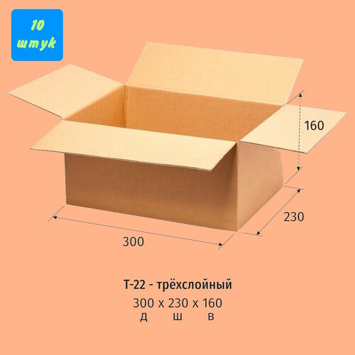 Коробки для хранения. Коробка картонная 300х230х160 мм, Т-22. 10 штук в упаковке.