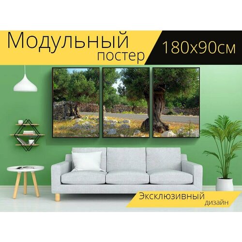 Модульный постер "Олива европейская, дерево, растение остистая" 180 x 90 см. для интерьера