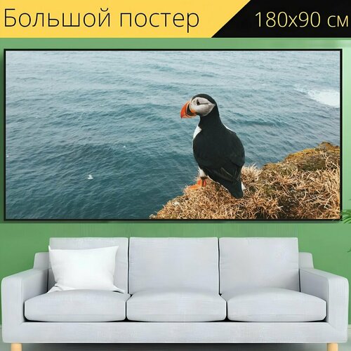 Большой постер "Животное, птица, морской берег" 180 x 90 см. для интерьера