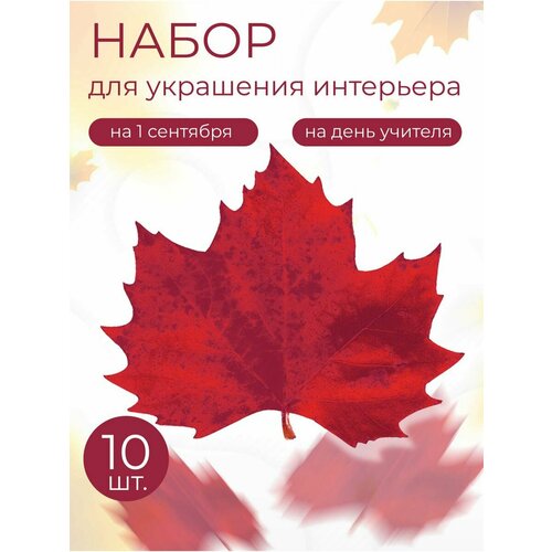 Осенний набор мини плакатов "Кленовый лист", 25 см, 10 шт.