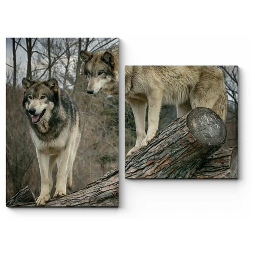 Модульная картина Волки в осеннем лесу 120x90
