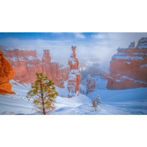 Картина на холсте 60x110 LinxOne "Зима снег дерево сосна Юта" интерьерная для дома / на стену / на кухню / с подрамником
