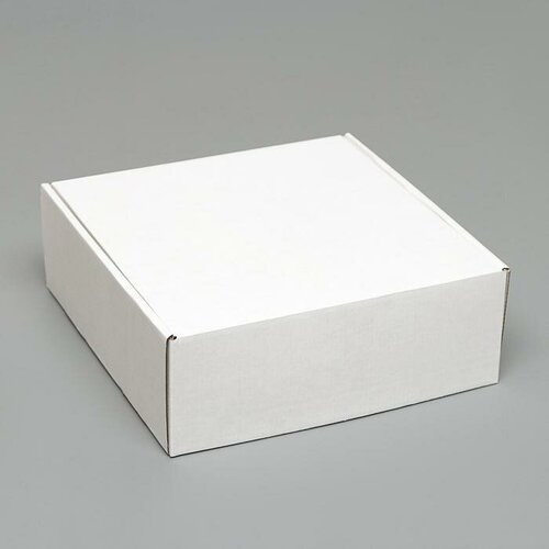 Коробка самосборная, белая, 26 х 26 х 9,5 см (5 шт)
