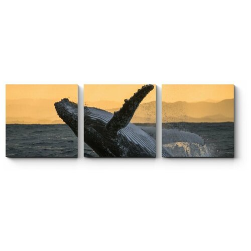 Модульная картина Величественный кит 100x33