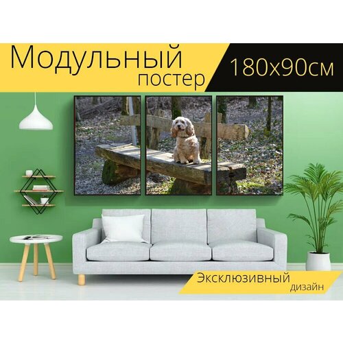 Модульный постер "Американский кокерспаниель, собака, собака на скамейке" 180 x 90 см. для интерьера