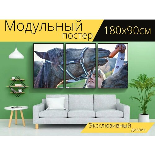 Модульный постер "Лошадь, пони, морковь" 180 x 90 см. для интерьера