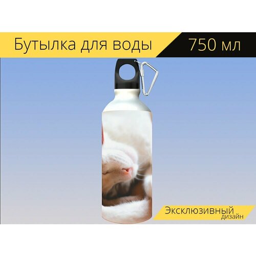 Бутылка фляга для воды "Лень, кошка, животное" 750 мл. с карабином и принтом