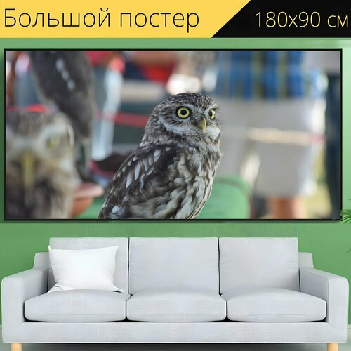 Большой постер "Сова, птица, перо" 180 x 90 см. для интерьера