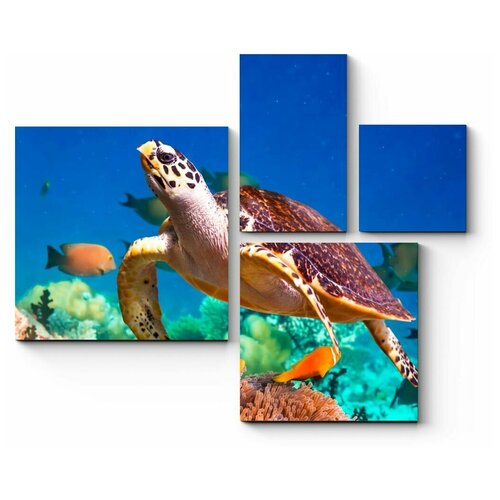 Модульная картина Черепаха в коралловом рифе162x135