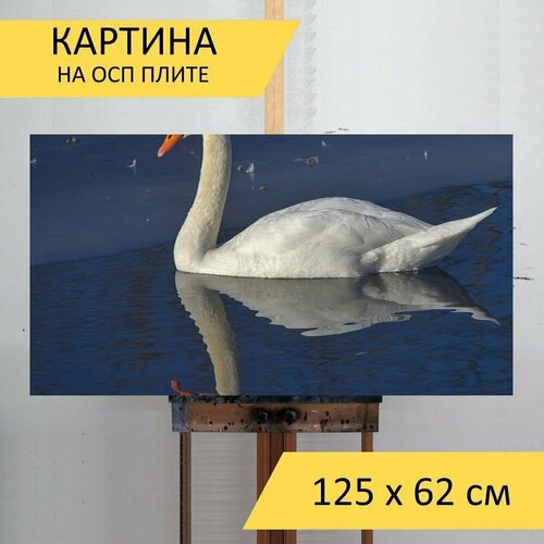 Картина на ОСП 125х62 см. "Лебедь, отражение, плавать" горизонтальная, для интерьера, с креплениями