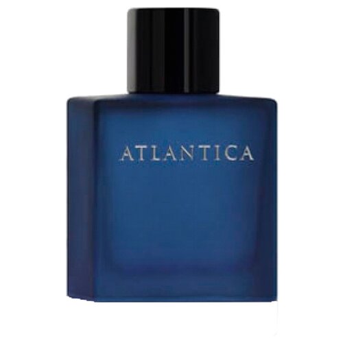 Dilis Parfum туалетная вода Atlantica Odyssey, 100 мл