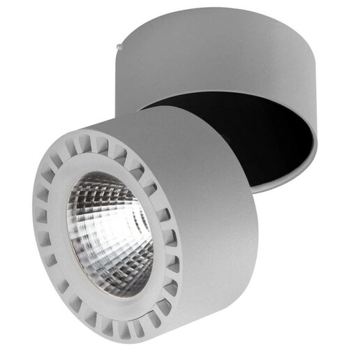 Потолочный светильник Lightstar Forte 381394, серый