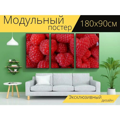 Модульный постер "Малина, фрукты, еда" 180 x 90 см. для интерьера