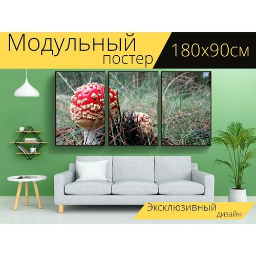 Модульный постер "Поганка, гриб, ядовитые грибы" 180 x 90 см. для интерьера