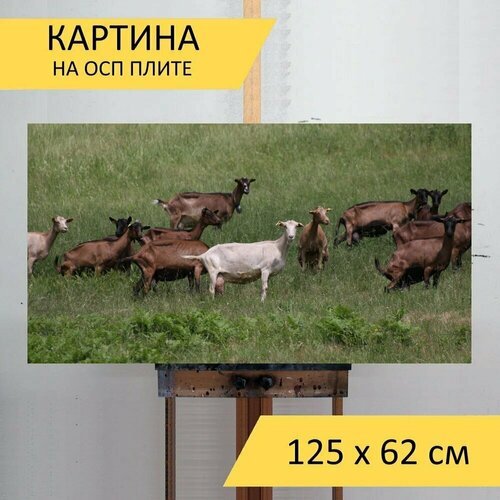 Картина на ОСП 125х62 см. "Бикеты, коза, животное" горизонтальная, для интерьера, с креплениями