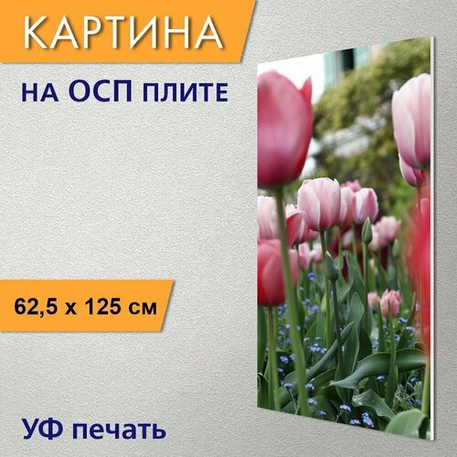 Вертикальная картина на ОСП "Цветы, тюльпаны, лепестки" 62x125 см. для интерьериа