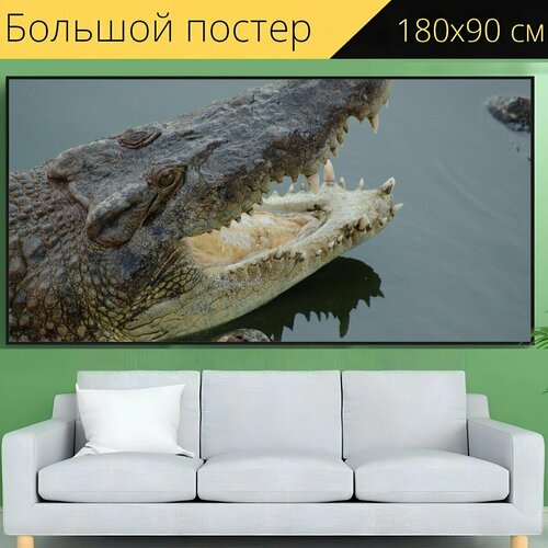 Большой постер "Болото, крокодил, животное" 180 x 90 см. для интерьера