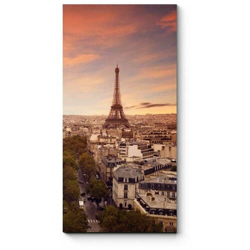 Модульная картина Прекрасный Париж с высоты 40x80
