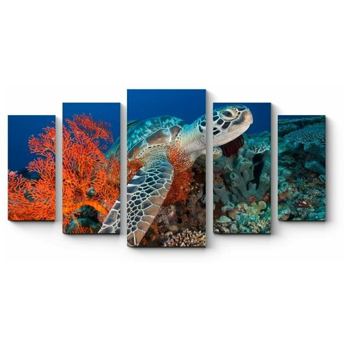 Модульная картина Морская черепаха в кораллах170x94
