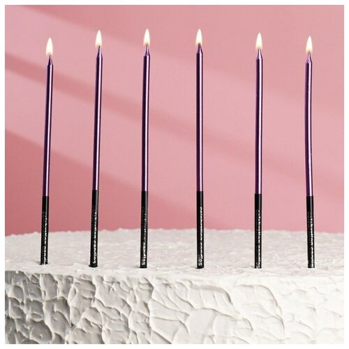 Свечи в торт "Праздник", 6 шт, 14,5 см, фиолетовый с чёрным