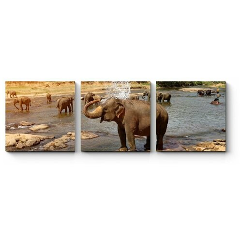 Модульная картина Купание слонов180x60
