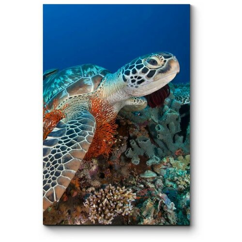 Модульная картина Морская черепаха в кораллах70x105