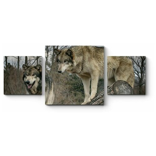 Модульная картина Волки в осеннем лесу 140x60