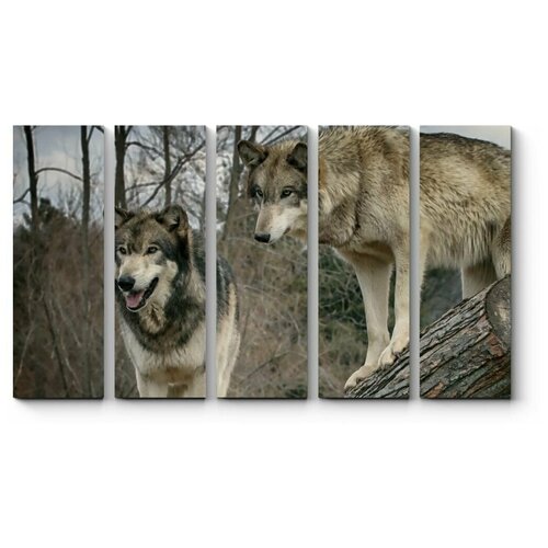 Модульная картина Волки в осеннем лесу 190x114