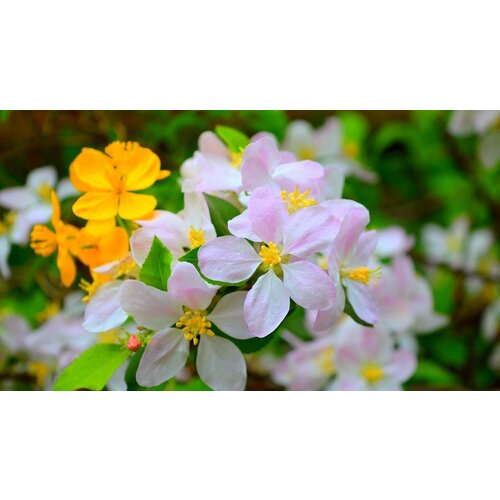 Картина на холсте 60x110 LinxOne "Цветение spring flowering Весна" интерьерная для дома / на стену / на кухню / с подрамником