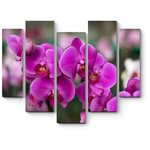 Модульная картина Прекрасные и нежные орхидеи 201x163
