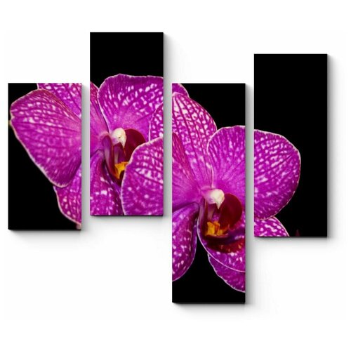 Модульная картина Тропическая орхидея 74x69