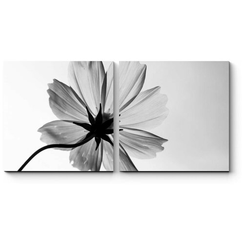 Модульная картина Монохромный цветок 130x65
