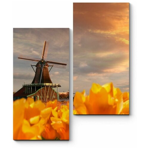 Модульная картина Ветряная мельница и желтые тюльпаны на закате 100x125