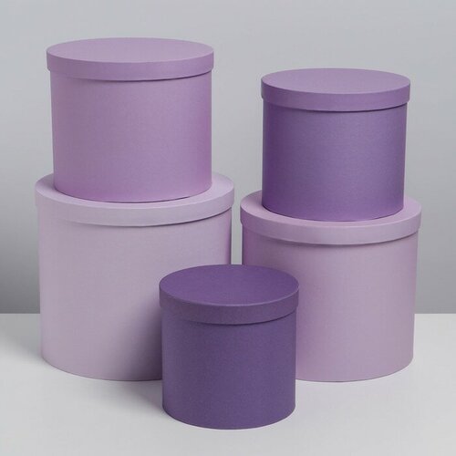 Набор коробок 5 в 1 «Фиолетовый», 13 × 14‒19.5 × 22 см