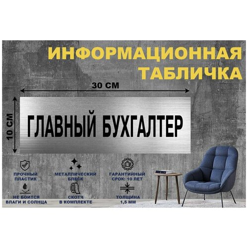 Табличка "Главный бухгалтер" на стену и дверь 300*100 мм с двусторонним скотчем