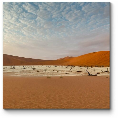 Модульная картина Умиротворенная пустыня 80x80
