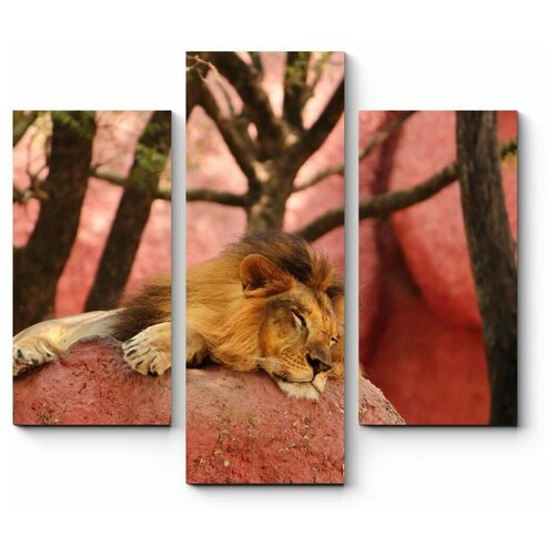 Модульная картина Африканский лев отдыхает60x54