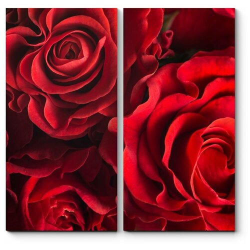 Модульная картина Бархатные розы 120x120